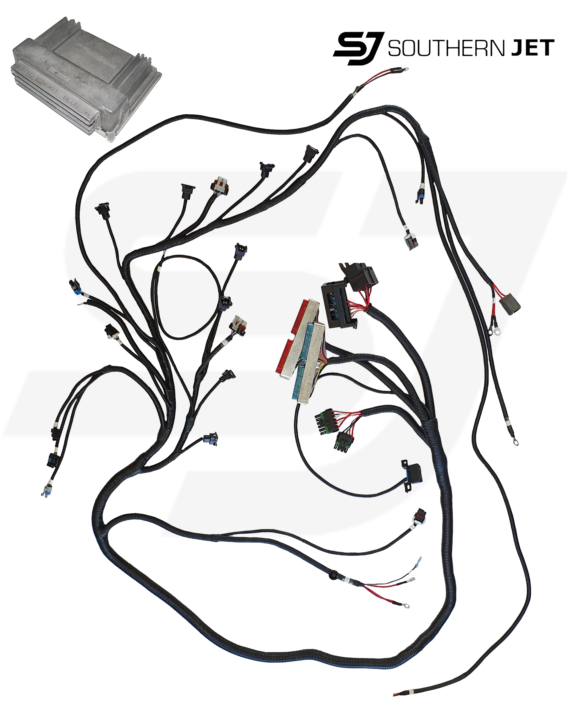 LS1 WIRING HARNESS/ECU – Southern Jet